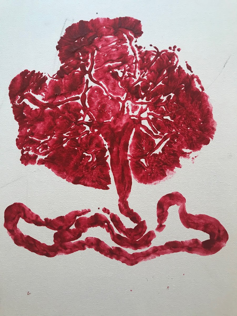 Placenta – Pregnancy & Birth Support, Online Prenatal Classes & Preparation